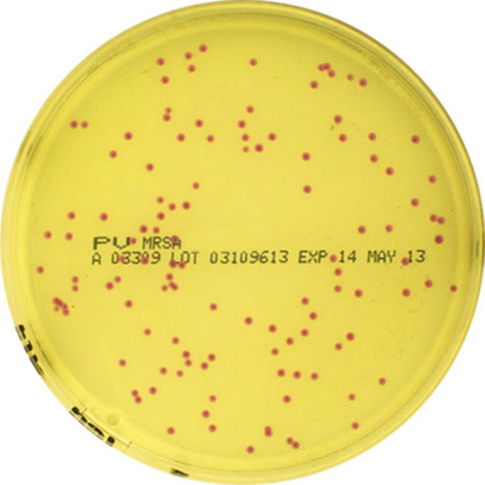Colorex MRSA - LABFAB