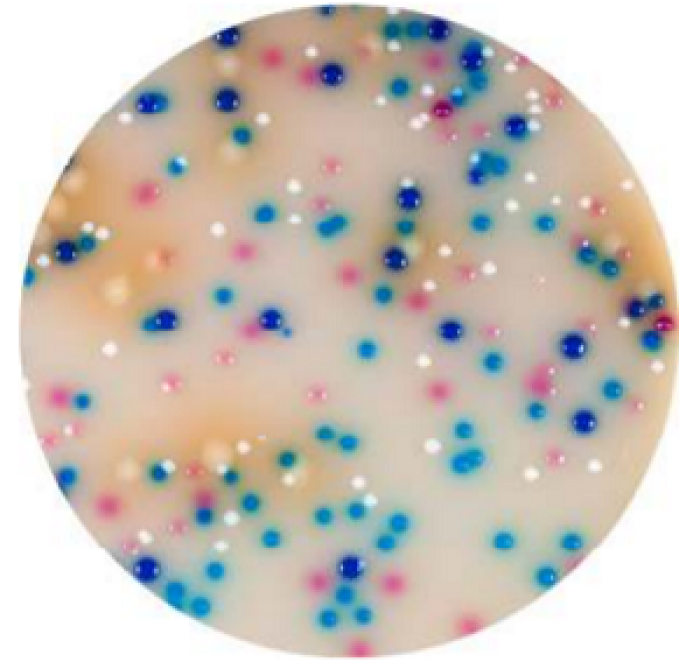 Chromogenic Urine Agar IV (CE) - ChromArt - LABFAB